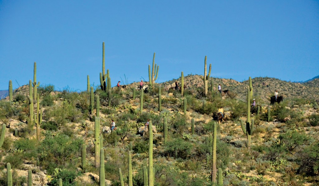 The Dude Abides: Tanque Verde Ranch